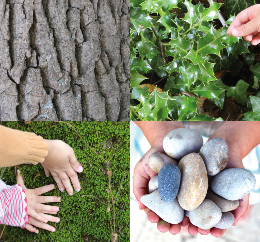 Les 5 sens : le toucher - Nouvelles Racines